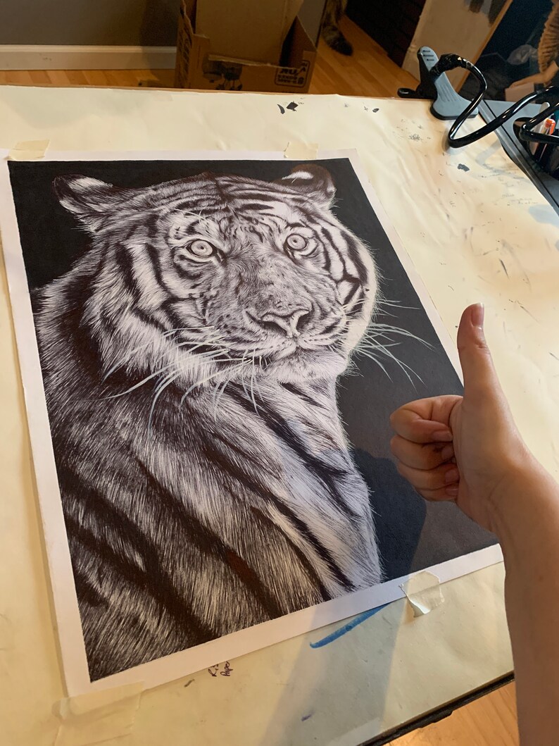 Hunt” - Tiger Drawing - Etsy