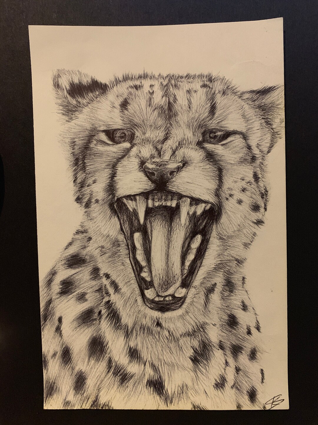 Hiss’ Cheetah Drawing - Etsy