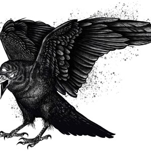 Three Eyed Raven - Etsy