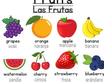 Printable Educational Poster to Identify the Fruits in English and ...