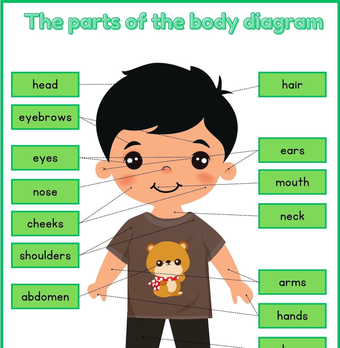 Printable Identify the Parts of the Body Diagram and Worksheet Bundle ...