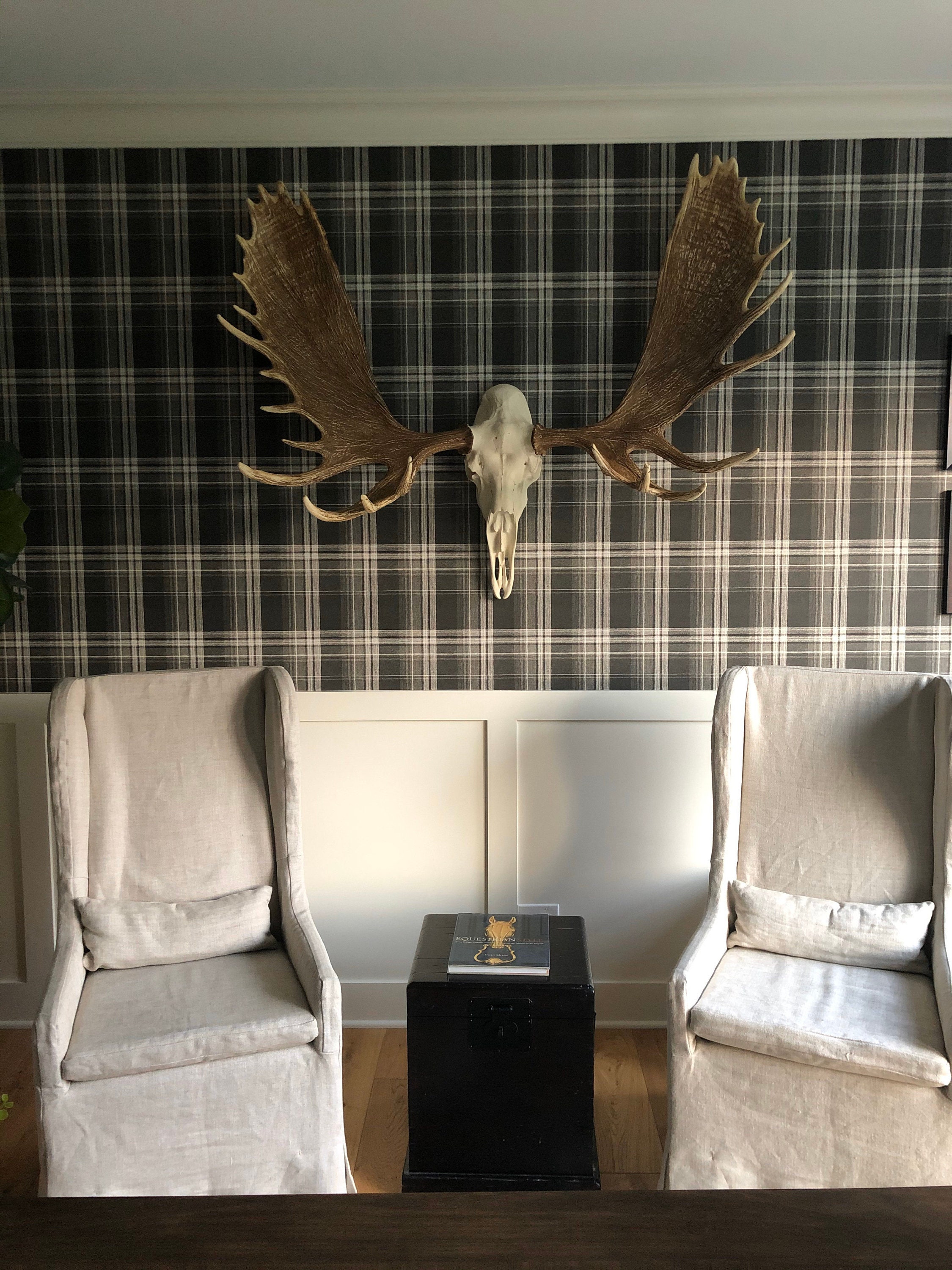 Faux European Alaskan Moose Mount - Etsy