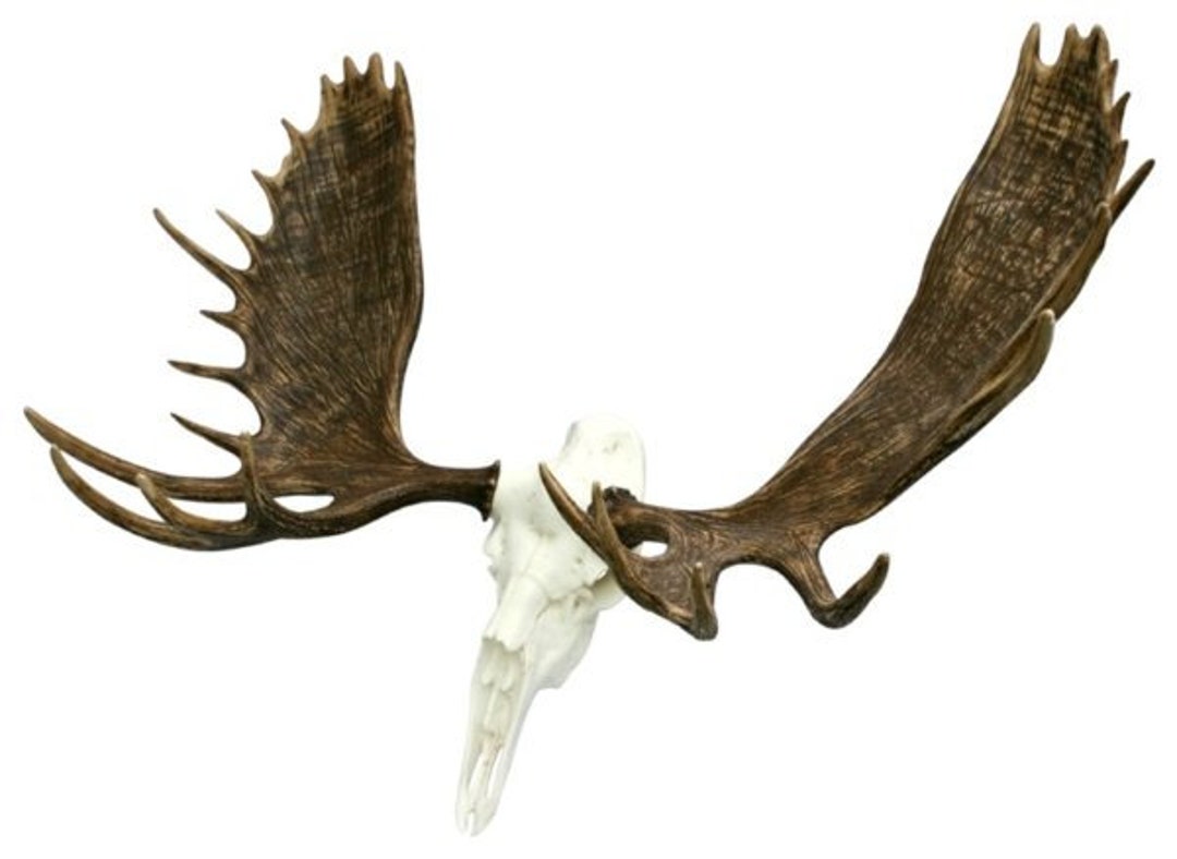 Faux European Alaskan Moose Mount - Etsy
