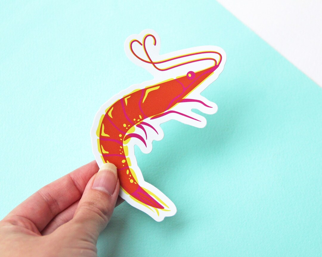 Shrimp Sticker Limited Edition Vinyl Sticker - Etsy