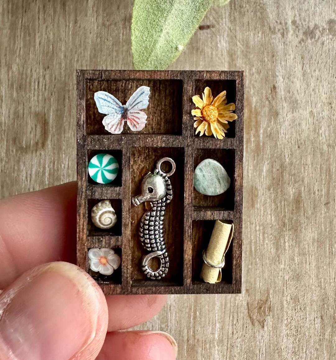 Miniature Curio Cabinet, Mini Home Decor, Oddities and Curiosities ...