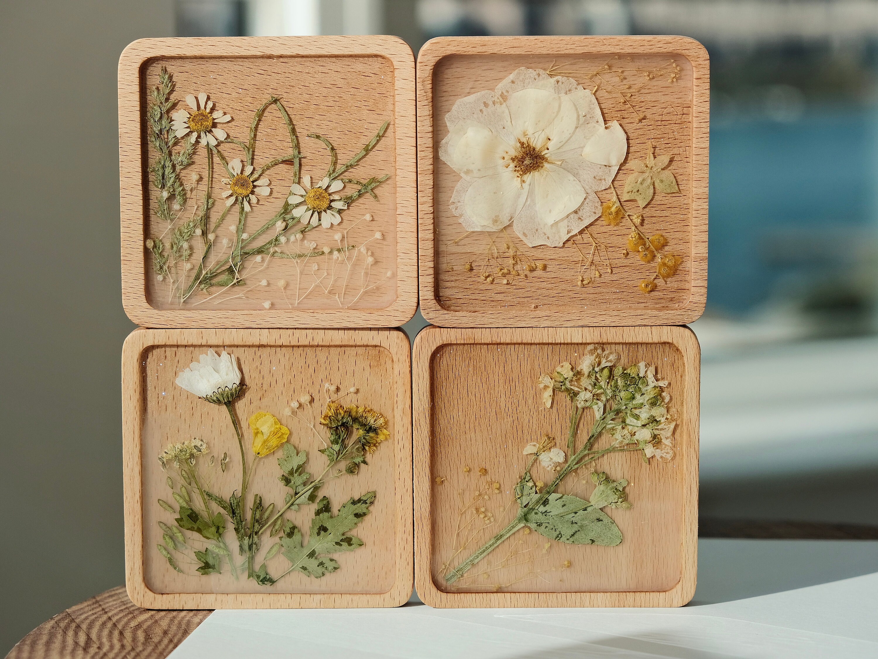 Square Pressed Flower Coaster Set of 4, White Rose Coaster, Chamomile ...
