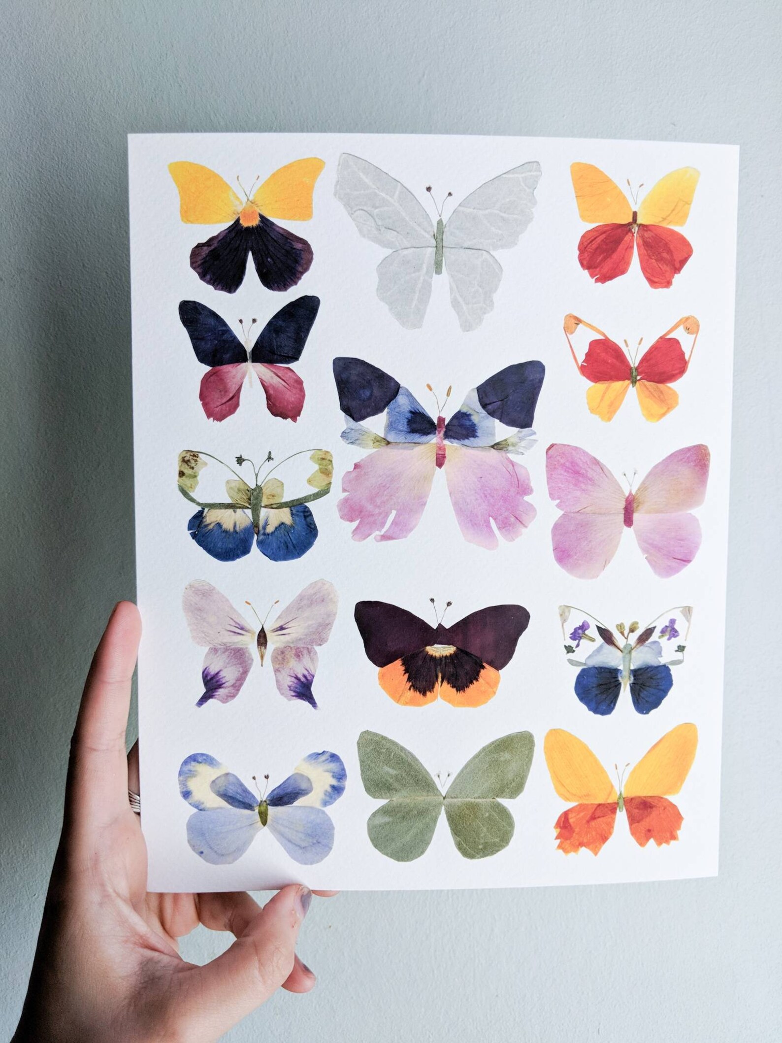 Pressed Flower Art Butterfly Print Butterfly Home Decor Wall - Etsy