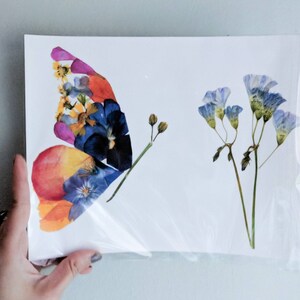 Pressed Flower Art Botanical Wall Art Butterfly Print Butterflies Print ...