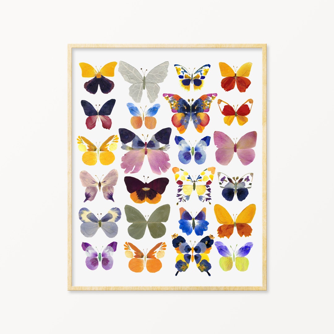 Pressed Flower Art | Botanical Wall Art | Butterfly Print (expanded ...