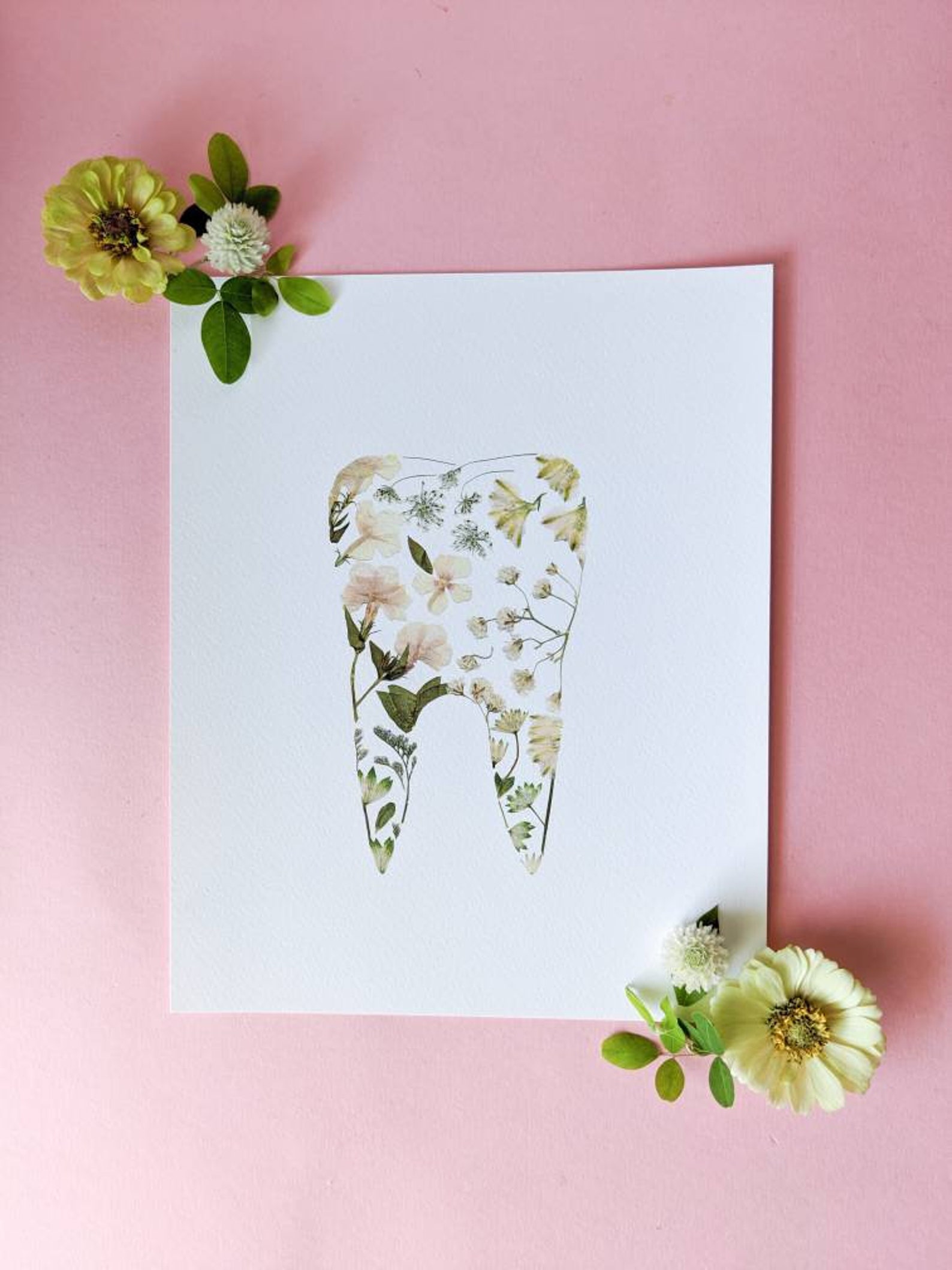Tooth Art Print, Pressed Flower Art Print, Dental Assistant Gifts ...