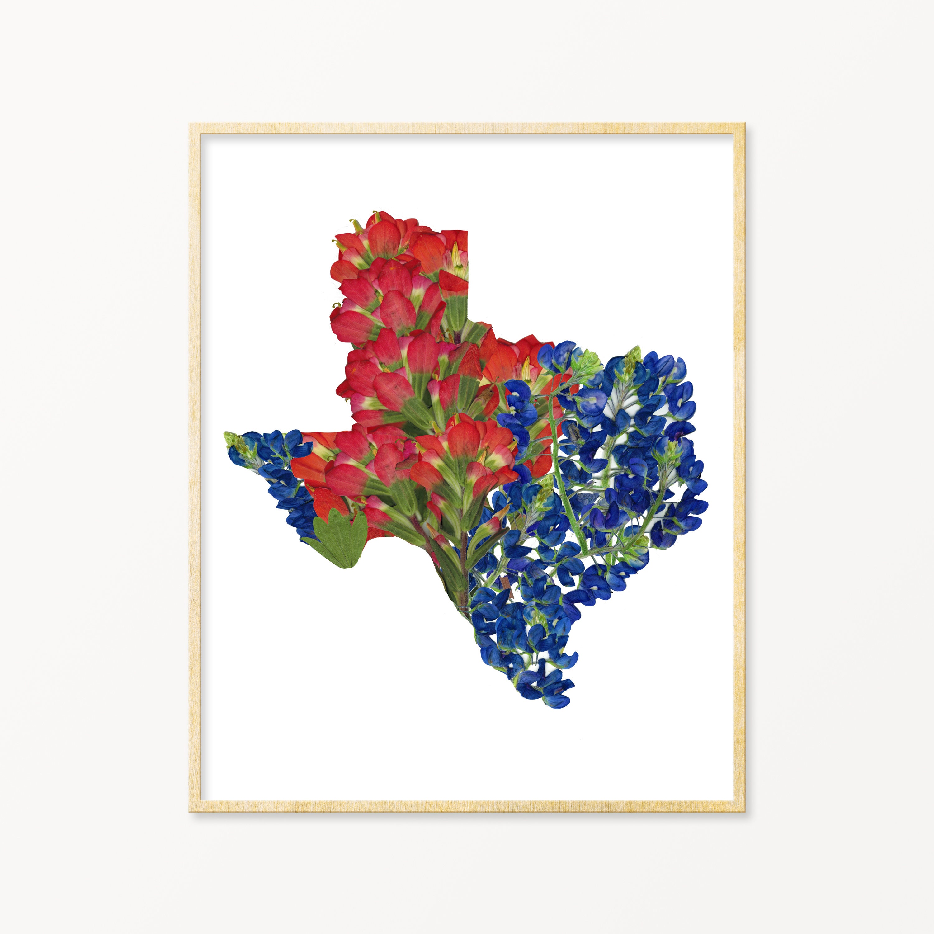 Pressed Flower Art Texas Texas Wall Art Texas Bluebonnet - Etsy
