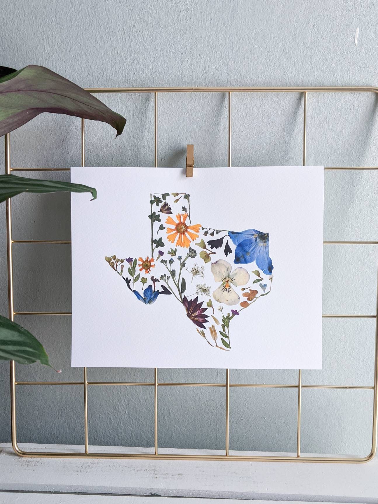 Pressed Flower Art Texas, Texas Wall Art, Texas Print, Texas Gift ...