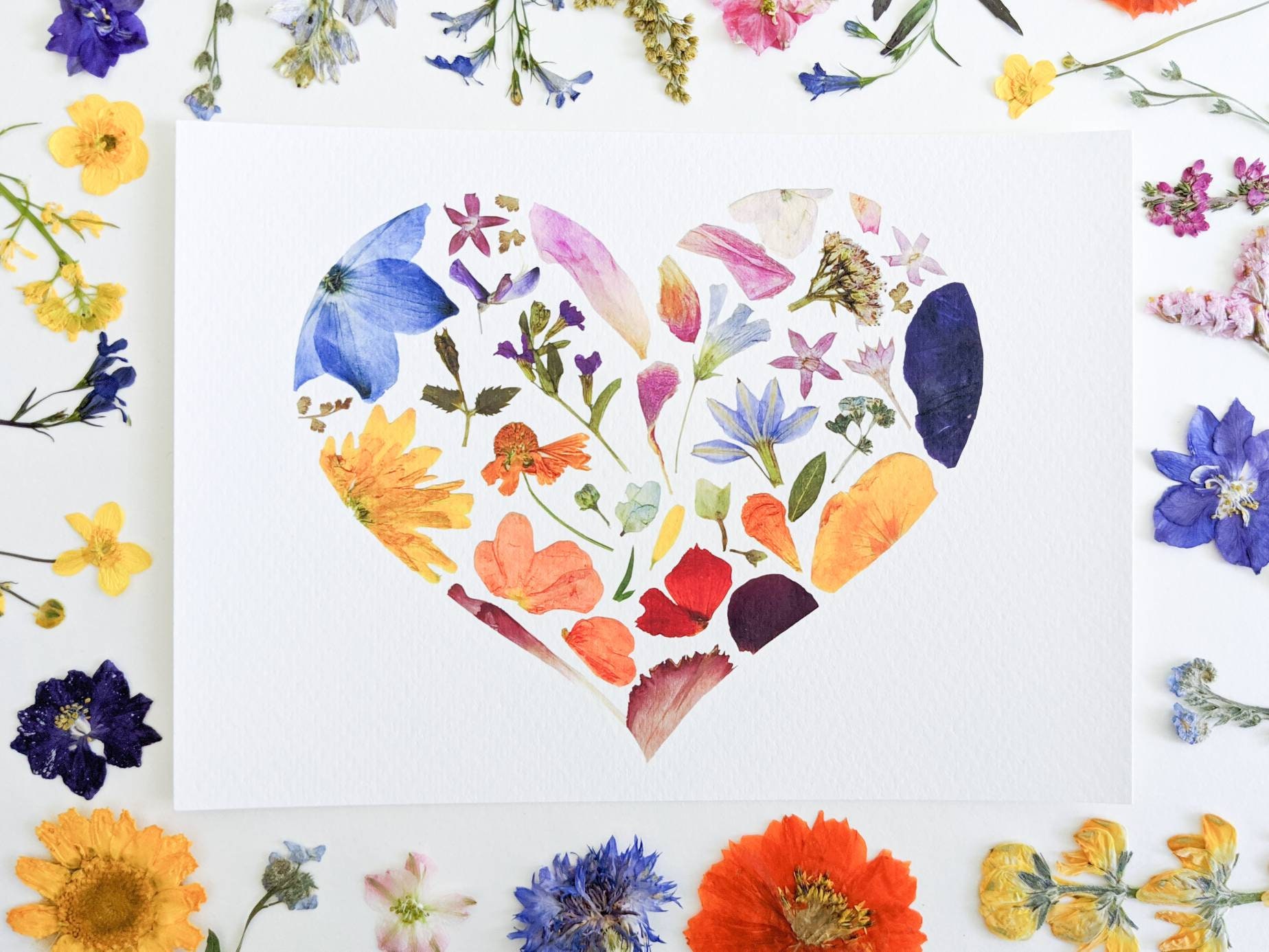 Rainbow Pressed Flower Heart Art Print, Floral Heart Print Wall Art - Etsy