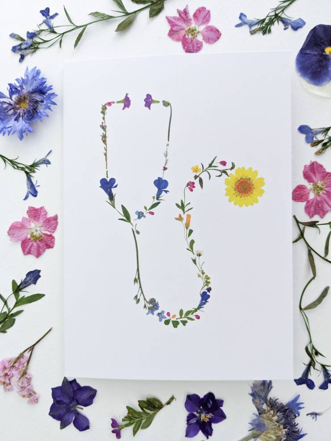 Pressed Flower Art Print Greeting Card, Blank Inside, Stethoscope ...