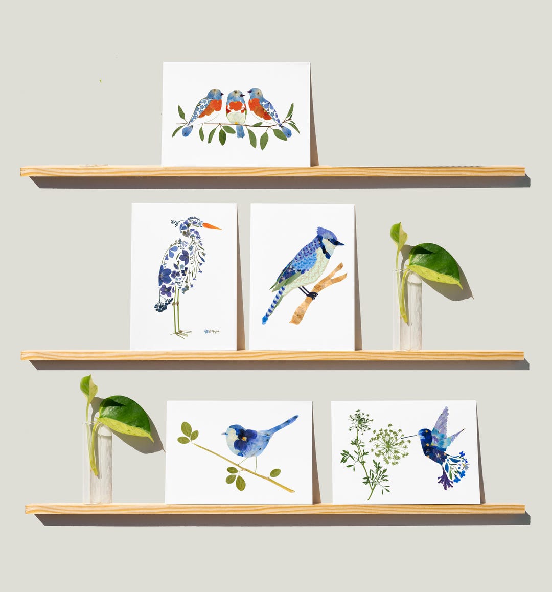 Blue Bird Cards, Blank Note Cards, Hummingbird Gifts, Blue Jay ...