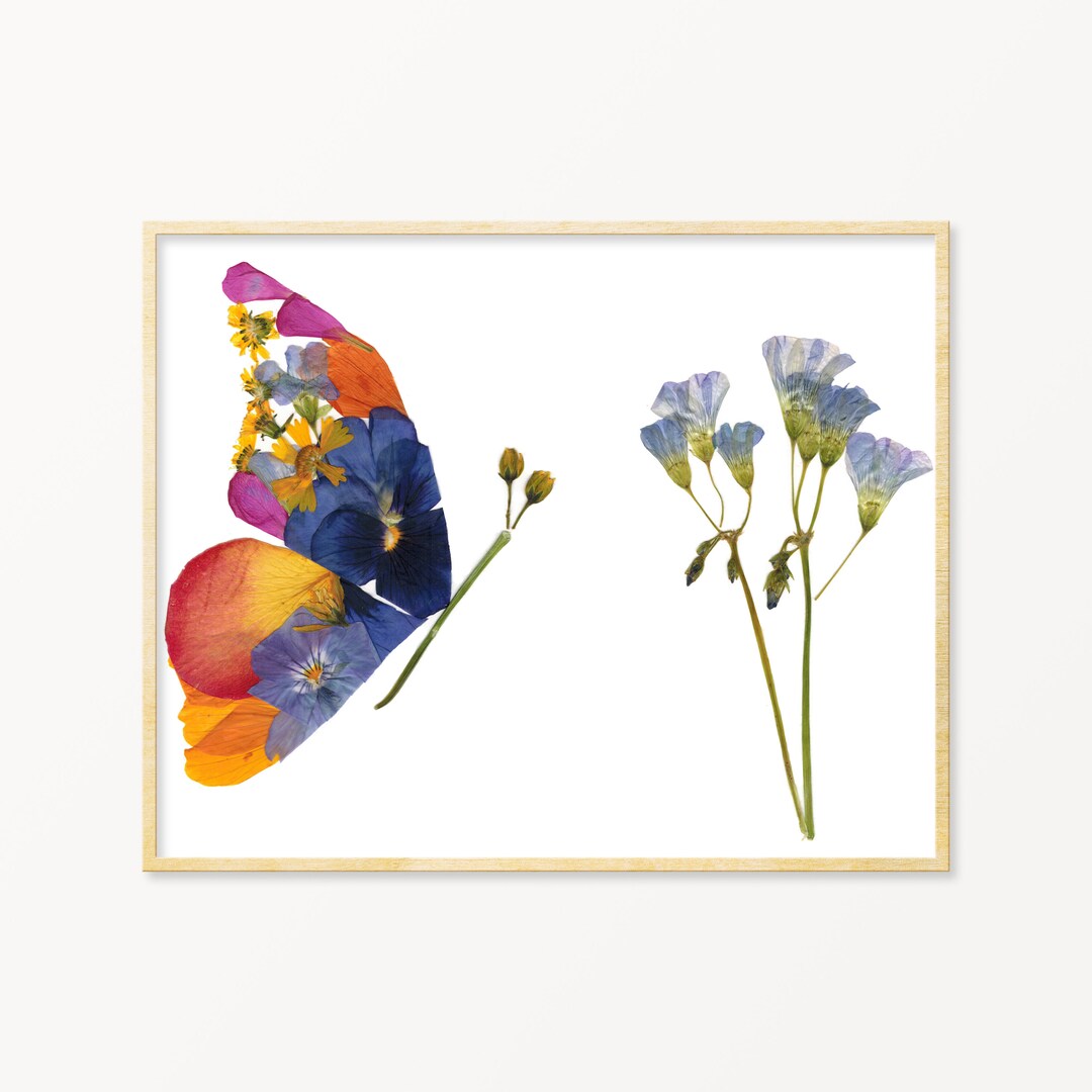 Pressed Flower Art | Botanical Wall Art | Butterfly Print | Butterflies ...
