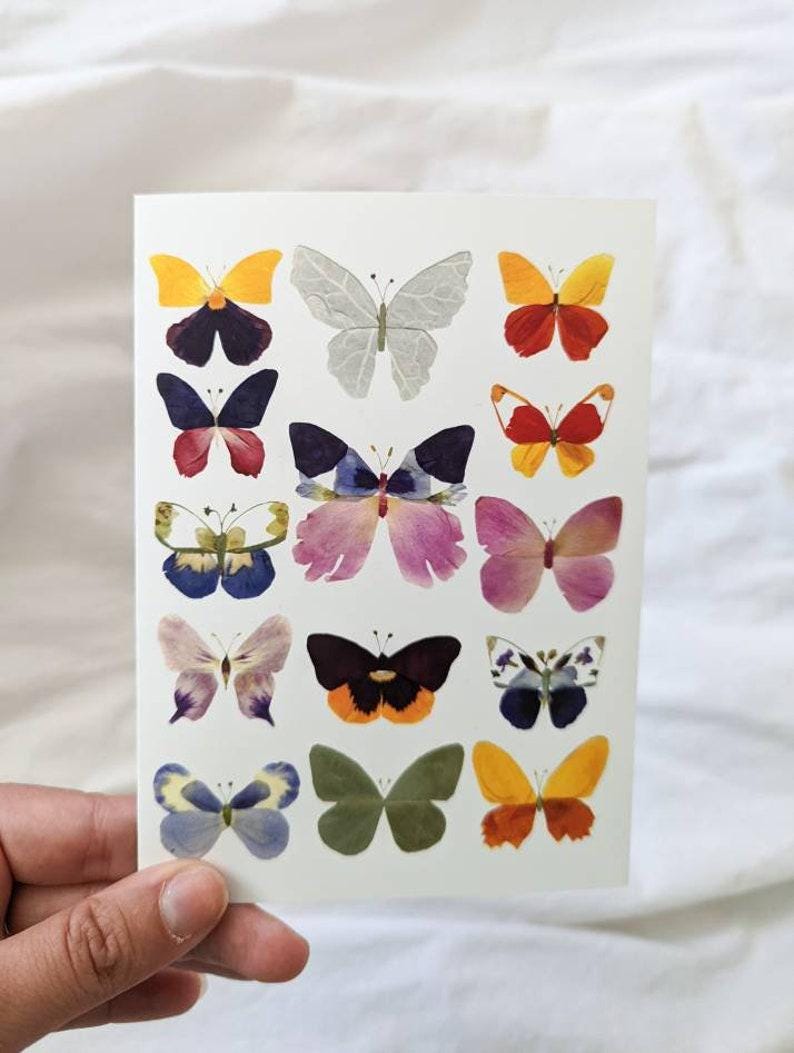 Pressed Flower Art Print Greeting Card, Blank Inside, Butterflies ...