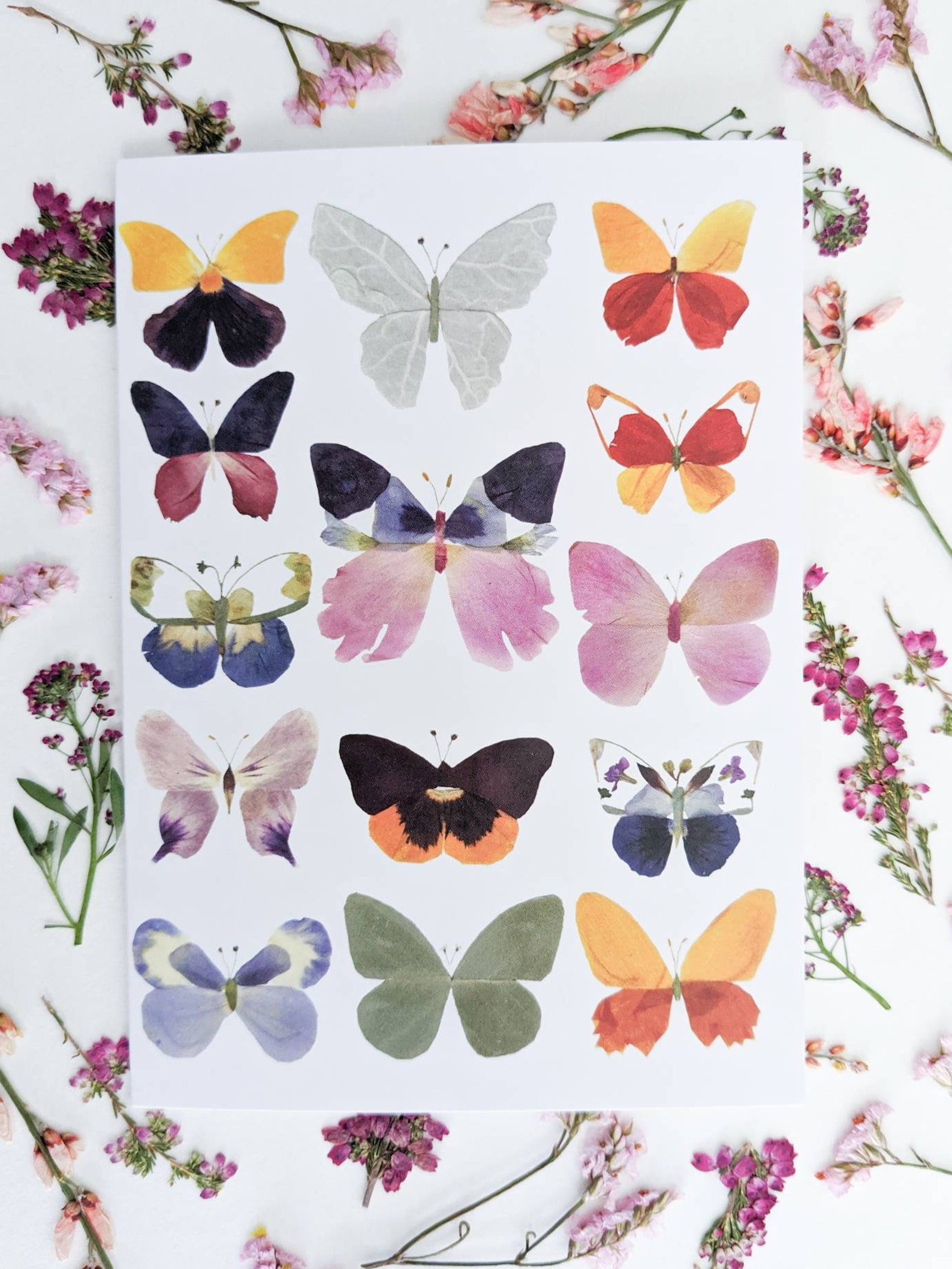 Pressed Flower Art Print Greeting Card, Blank Inside, Butterflies ...