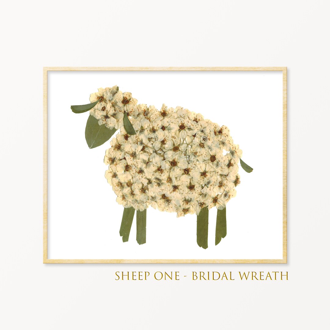 Sheep Decor, Pressed Flower Sheep Art Print, Counting Sheep Nursery ...