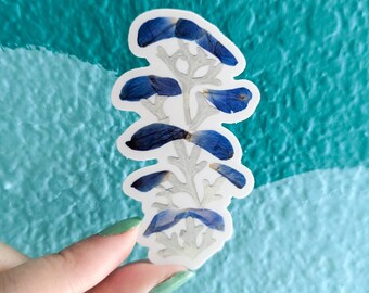 Beagle Sticker Beagle Gifts Pressed Flower Art Vinyl Sticker - Etsy