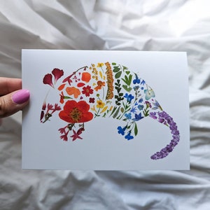 Texas Blank Note Card Set, Texas Themed Gifts, Monarch Butterfly Cards ...