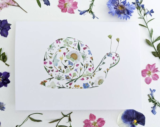 Pressed Flower Art Print Greeting Card, Blank Inside, Snail, Snails ...