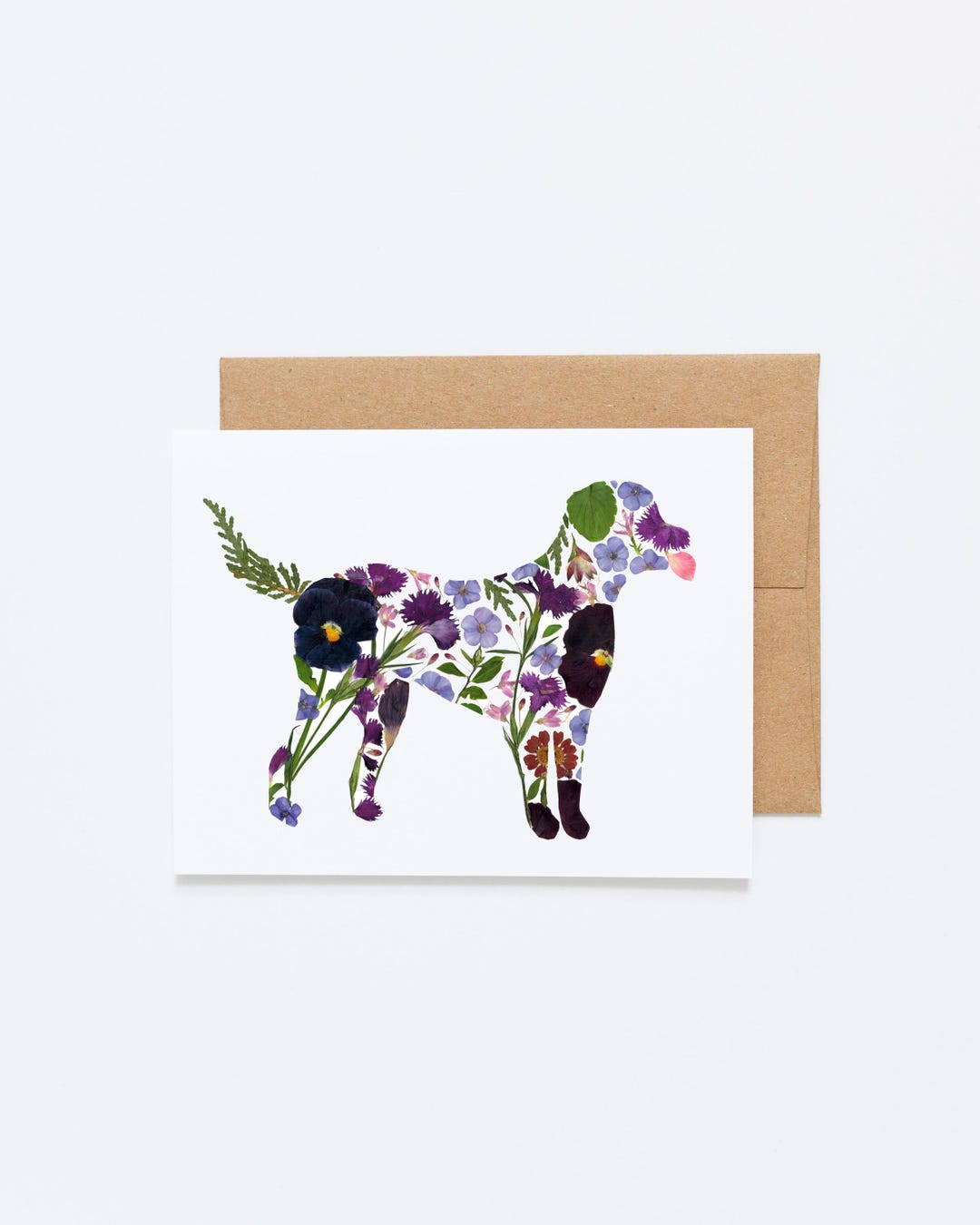 Black Lab Card, Pressed Flower Art Print Cards - Etsy
