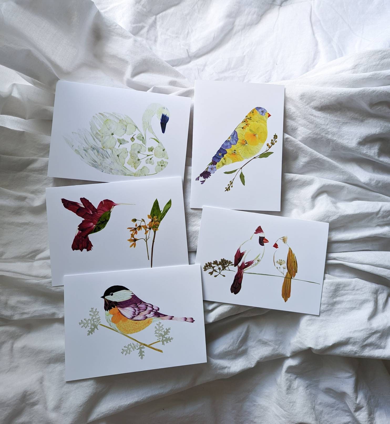 Bird Cards, Bird Gifts, Blank Note Card, Hummingbird Card, Hummingbird ...