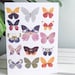 Pressed Flower Art Print Greeting Card, Blank Inside, Butterflies ...