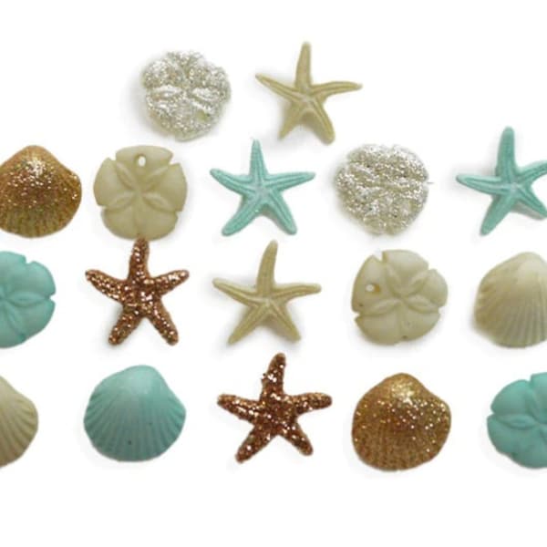 Tiny Seashells - Etsy