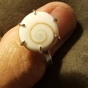 Shiva Shell Sterling Silver Ring - Etsy