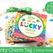 Pot of Gold Rainbow Gift Tags, INSTANT EDITABLE DOWNLOAD, St Patricks ...