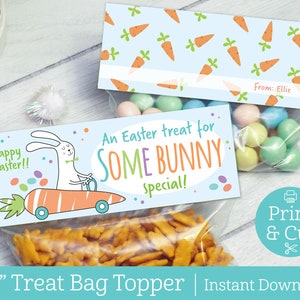 Easter Bag Toppers, INSTANT EDITABLE DOWNLOAD, Some Bunny Special ...