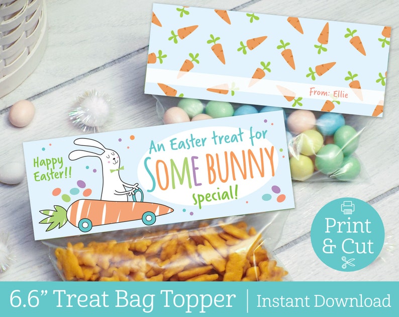 Easter Bag Toppers, INSTANT EDITABLE DOWNLOAD, Some Bunny Special ...