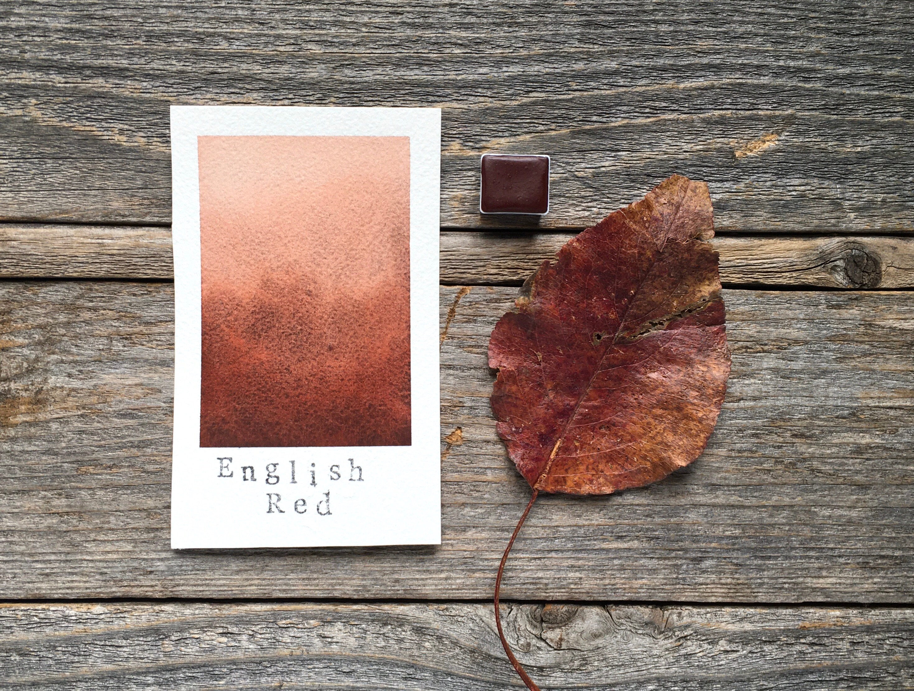 Handmade Watercolor English Red Granulating Red for - Etsy