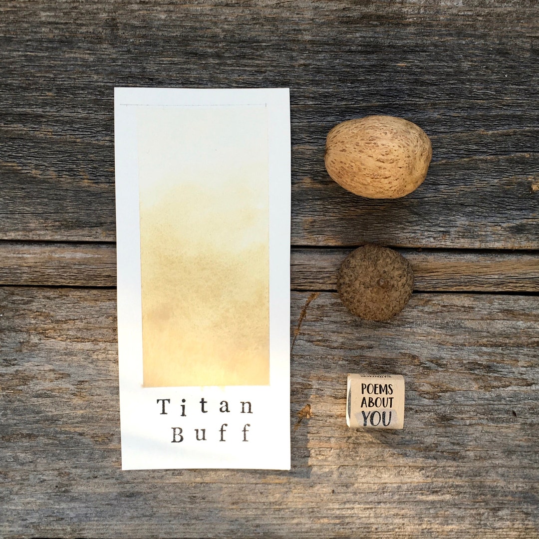 Handmade Watercolor - Titan Buff - Warm Beige - for Painting ...