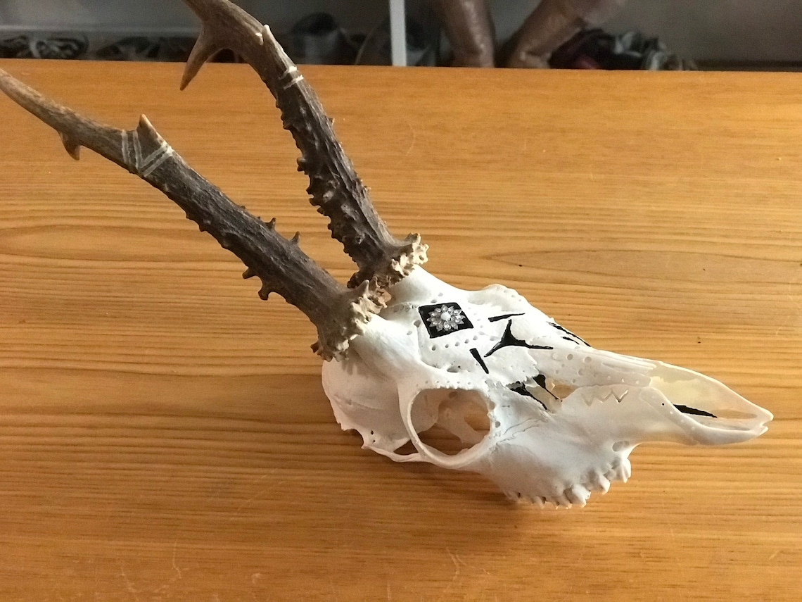Hand Carved Deer Skull - Etsy