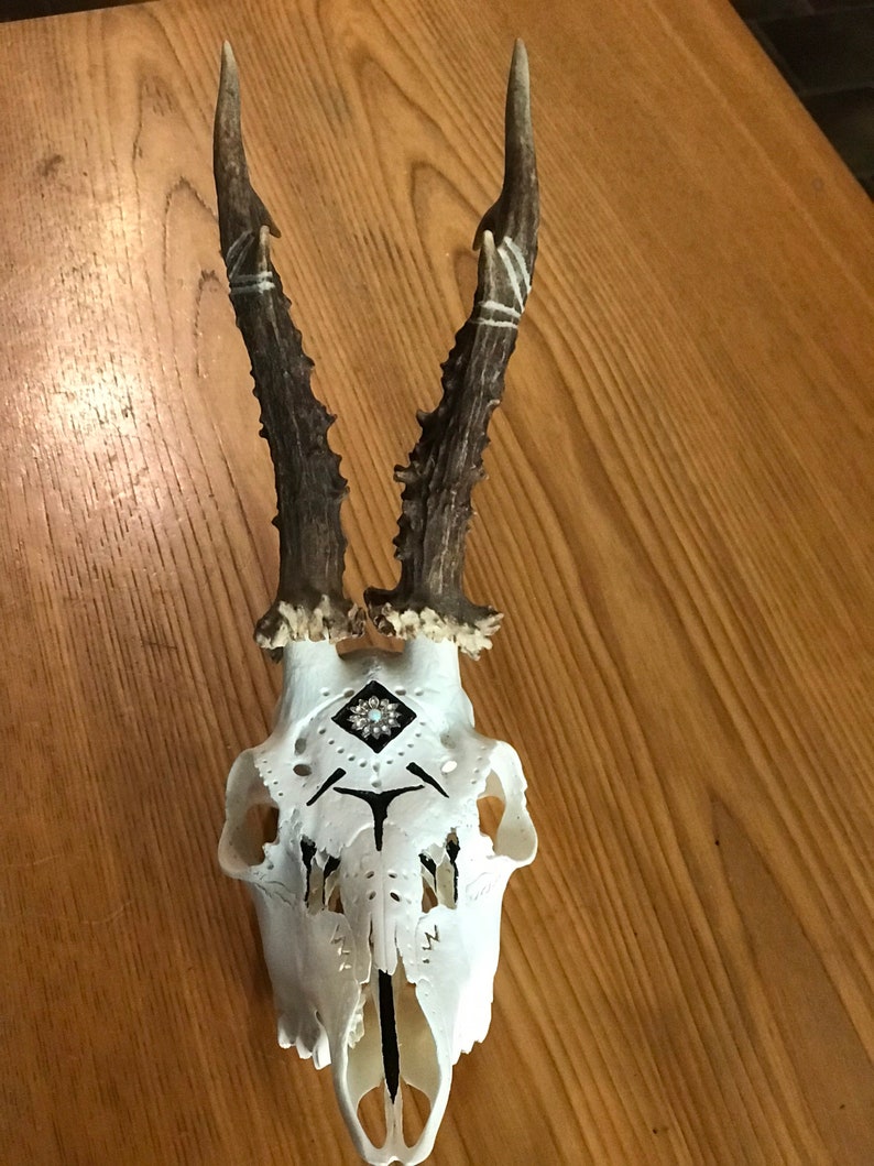 Hand Carved Deer Skull - Etsy