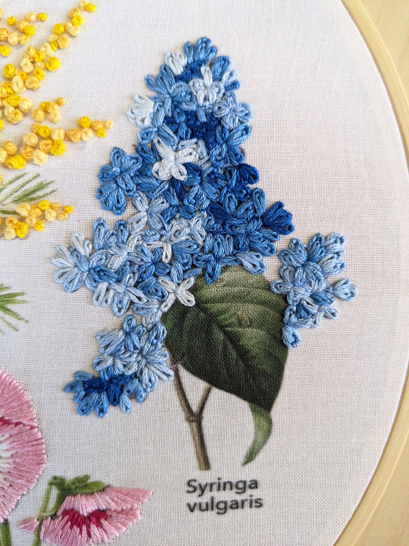 Embroidered Herbarium Embroidery Kit // French or English // Craft Kit ...