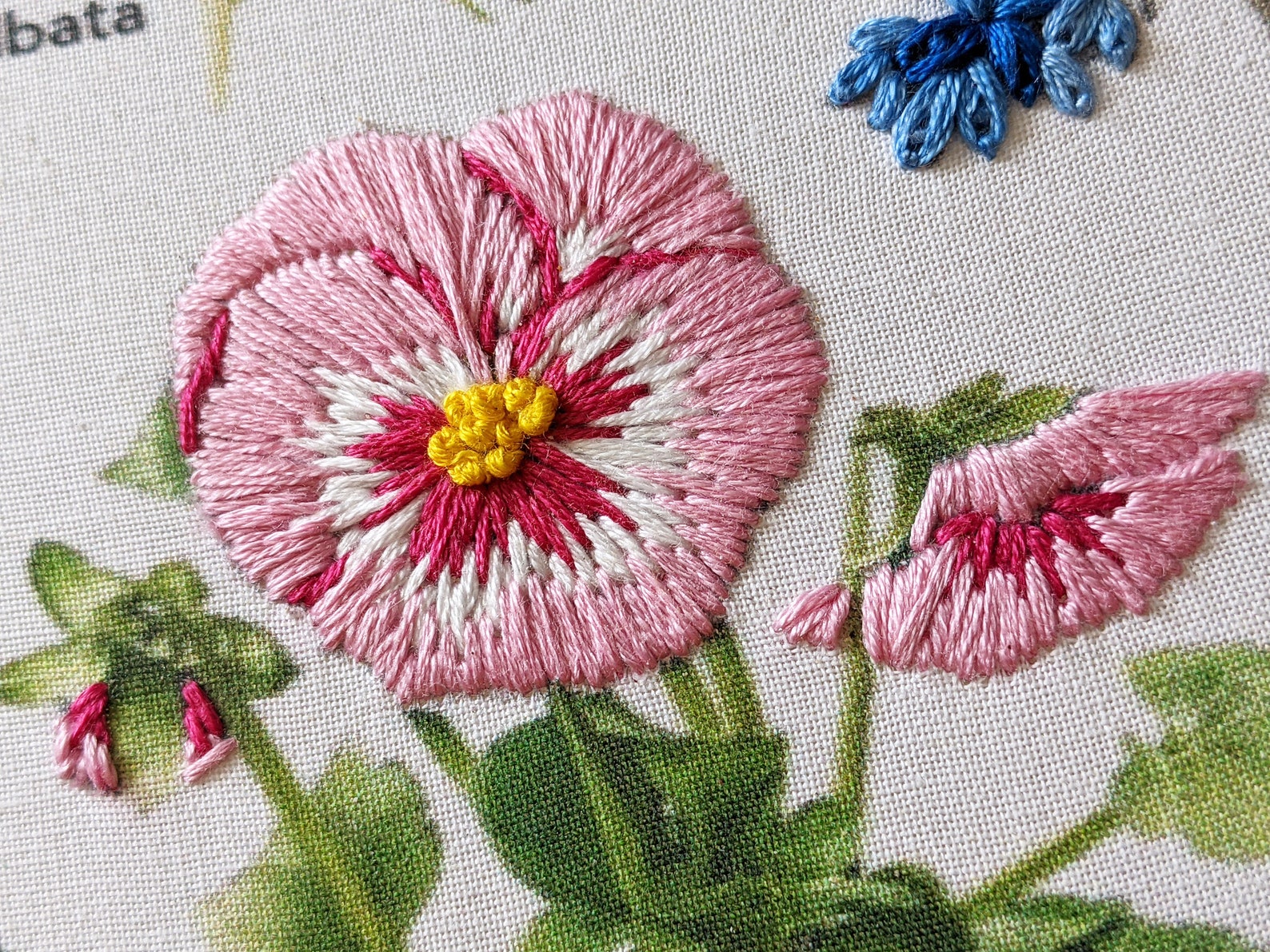 Embroidered Herbarium Embroidery Kit // French or English // Craft Kit ...