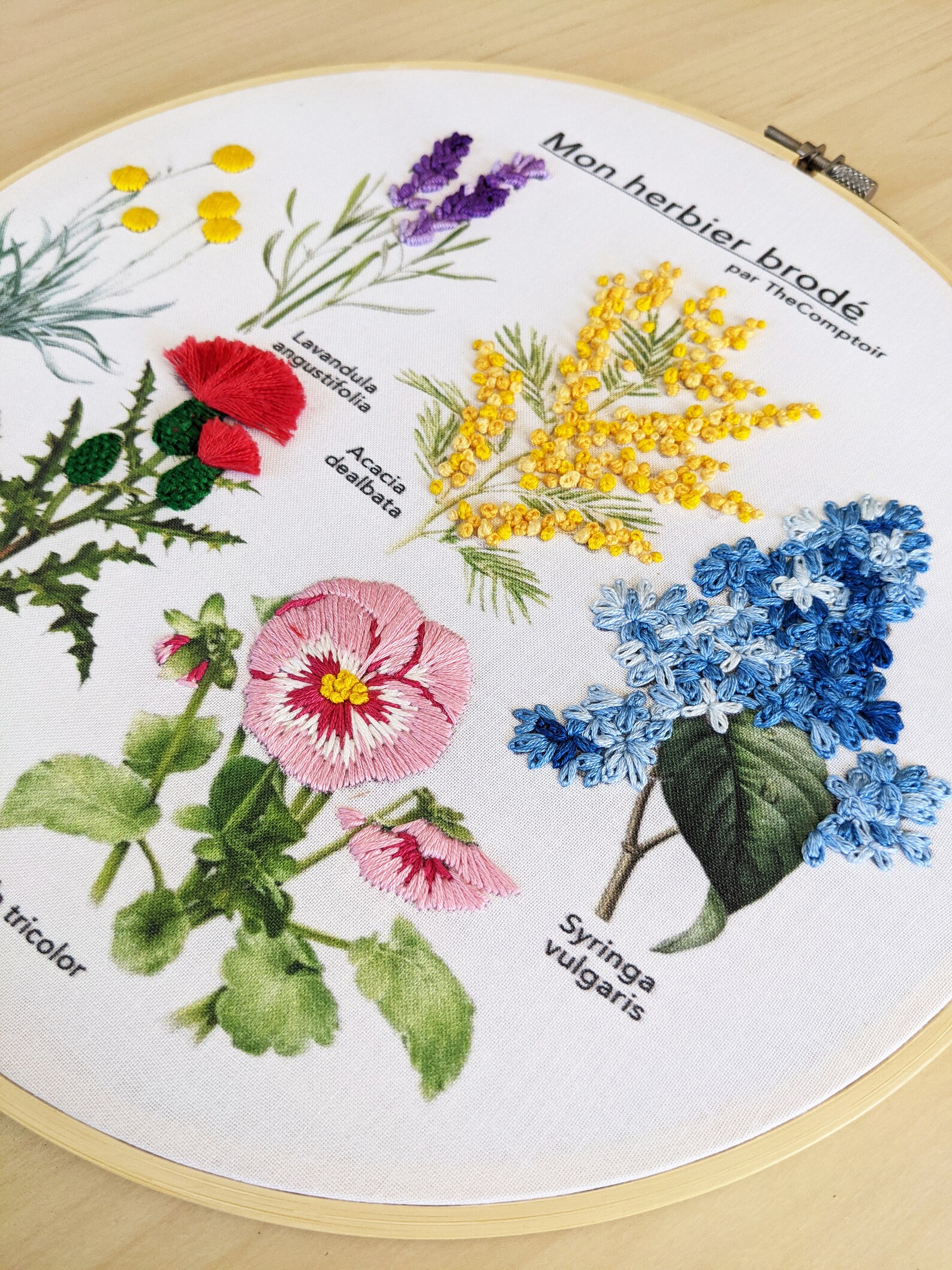 Embroidered Herbarium Embroidery Kit // French or English // Craft Kit ...