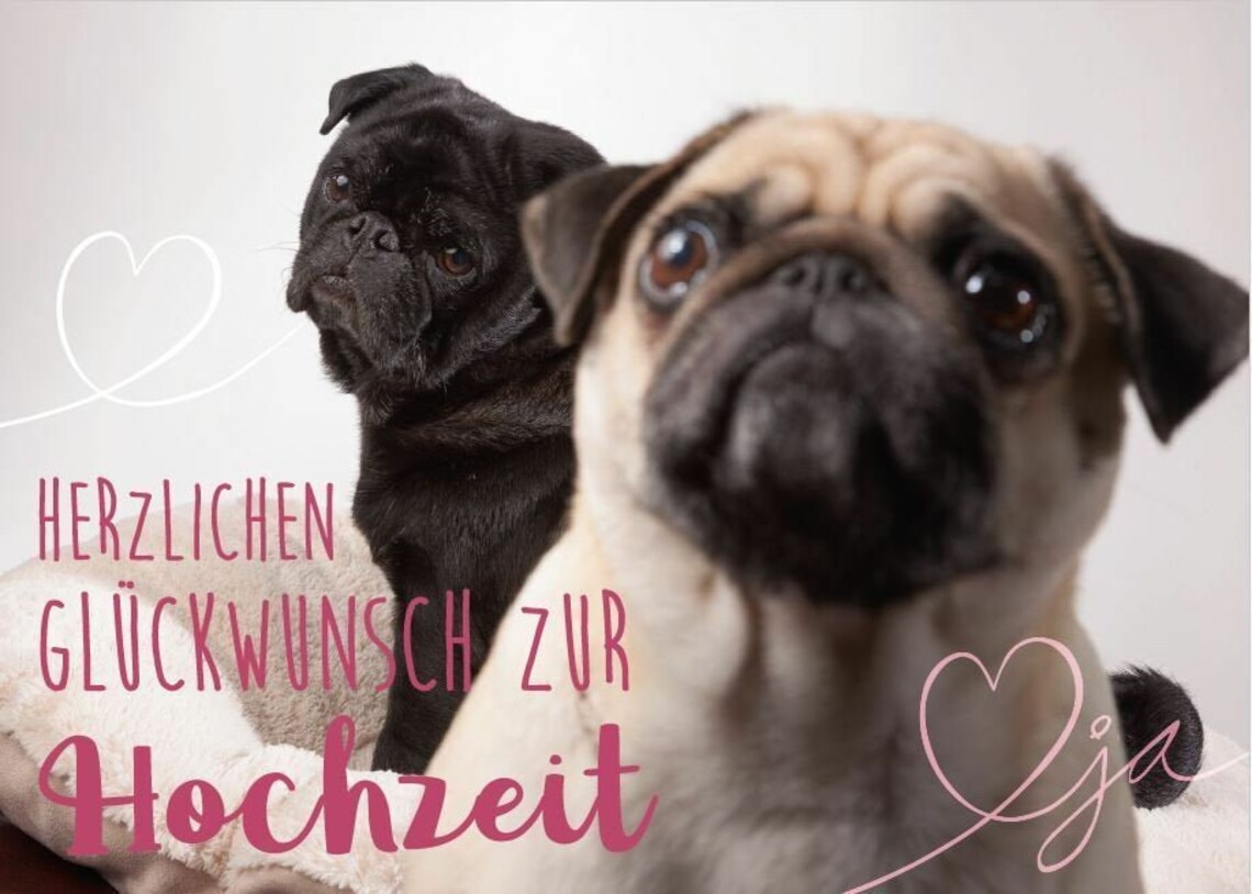 Wedding Card by Pupsle congratulations Pug Pug - Etsy