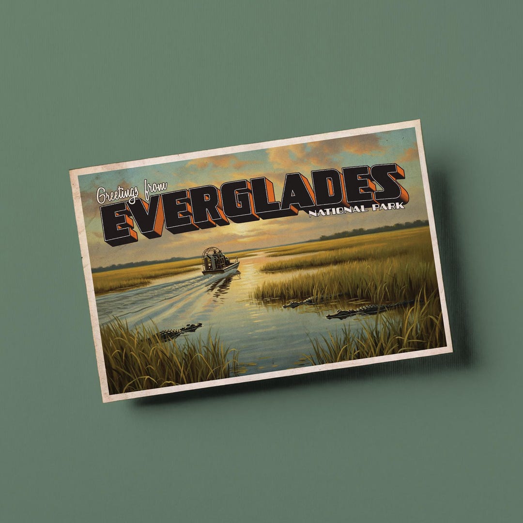 Everglades Postcard - Vintage Style Us National Park Post Card - Etsy