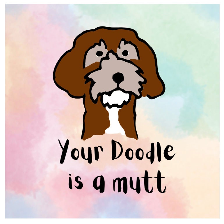 Veterinary Stickers, Laminated Stickers, for Animal Lovers Gift, for ...