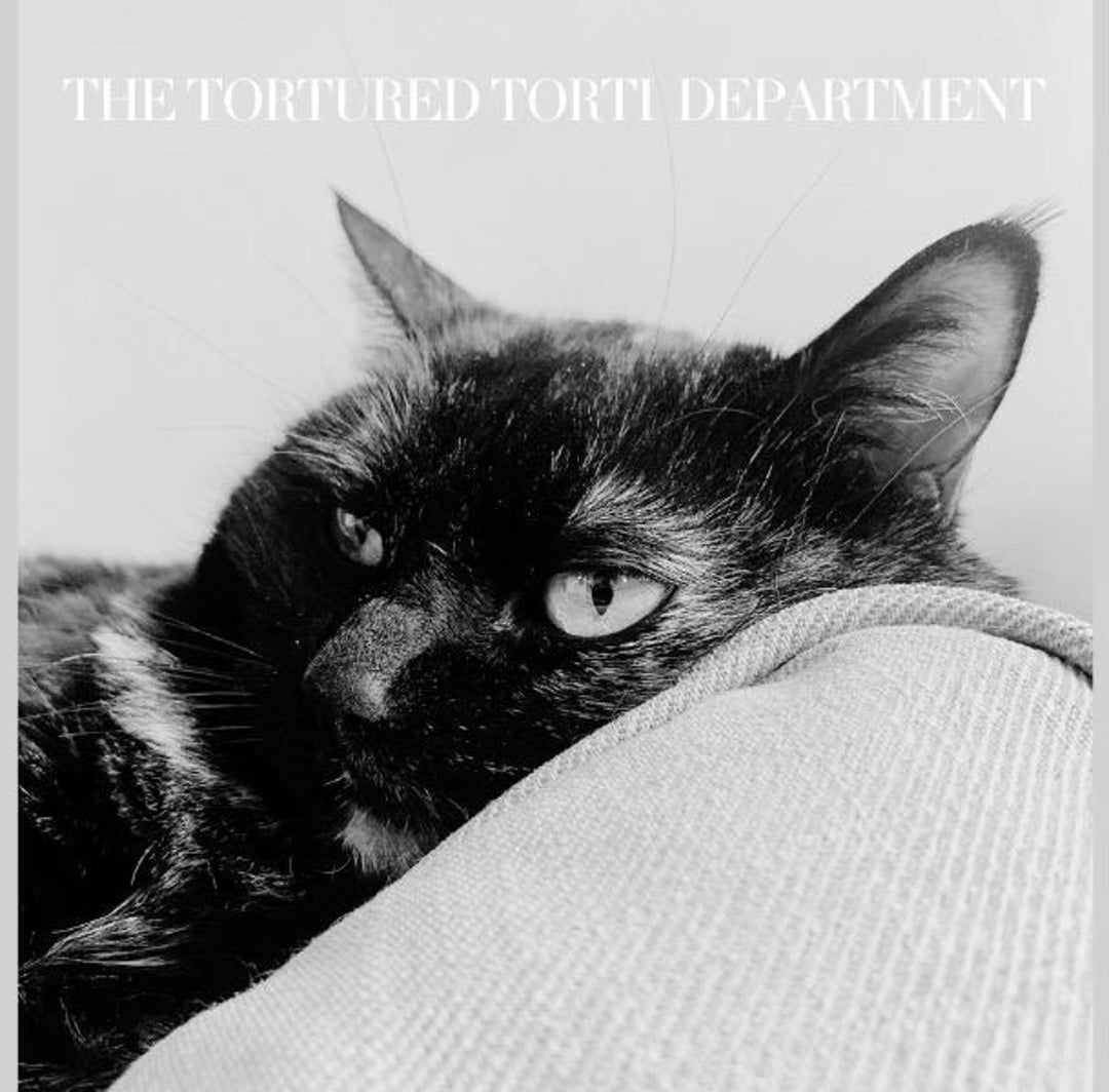 Veterinary Stickers , Laminated Stickers, for Animal Lovers Gift, for ...