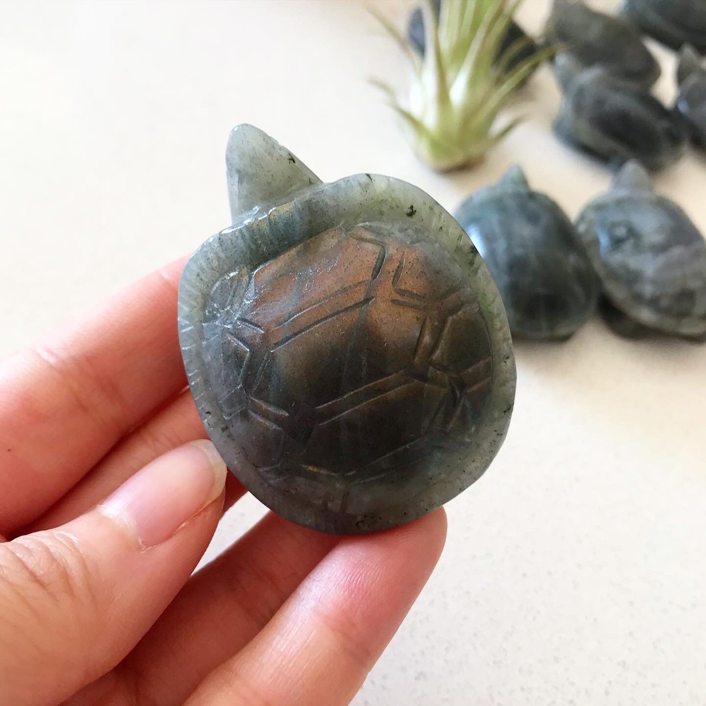 Rare Teal Blue Golden Yellow & Sunset Flash Labradorite | Etsy