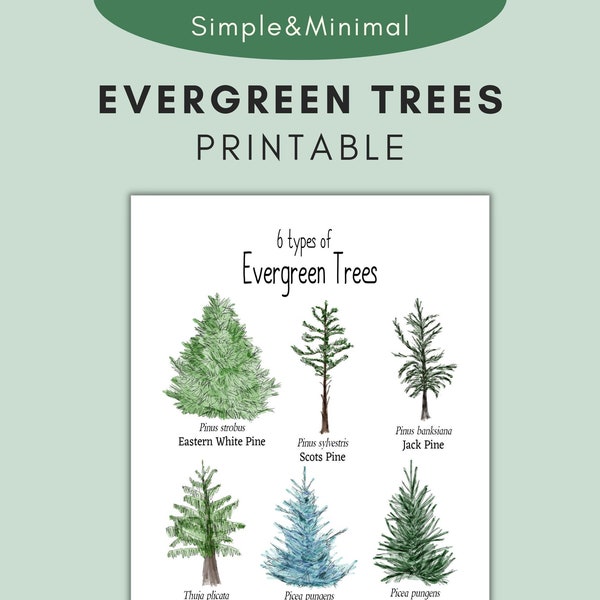 Tree Unit Study Bundle Nature Education Printable Tree Leaf ...