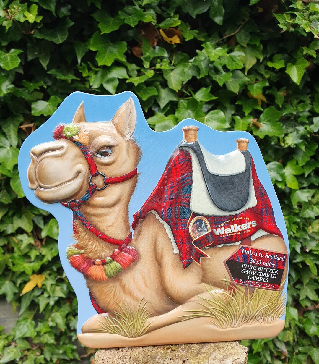 Walkers Classic Camel Shape Biscuit Tin Made in Scotland Dubai Duty ...