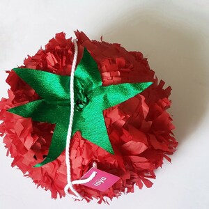 Cherry Tomato Pinata - Etsy