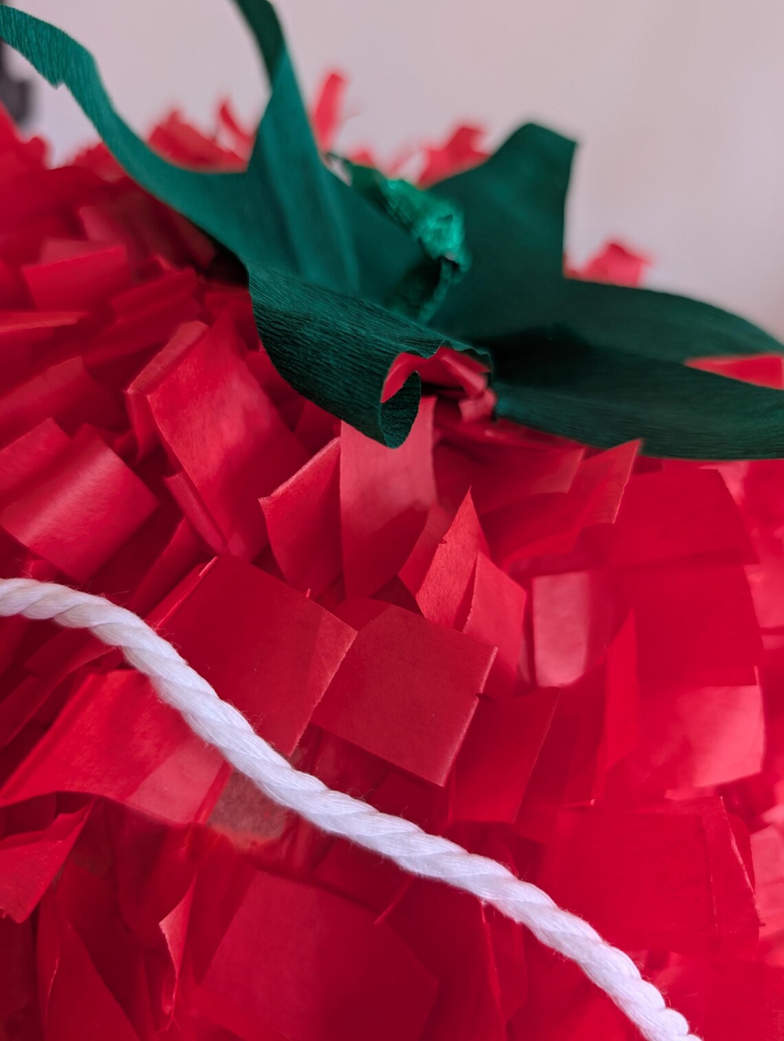 Cherry Tomato Pinata - Etsy